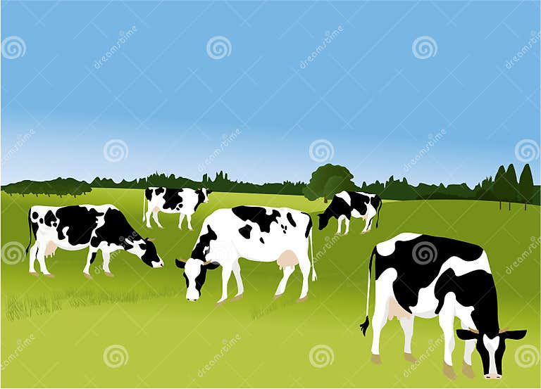 Cows stock vector. Illustration of group, cattle, cartoon - 25760188