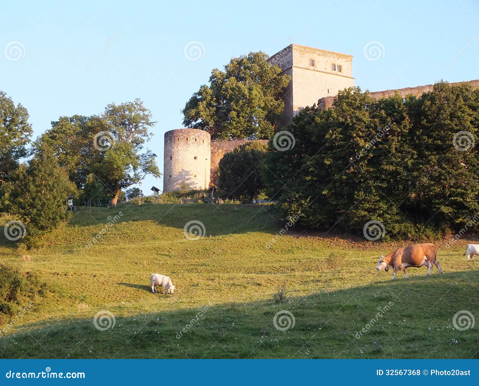 Cows beneath a castle stock photo. Image of stone, dramatic - 32567368