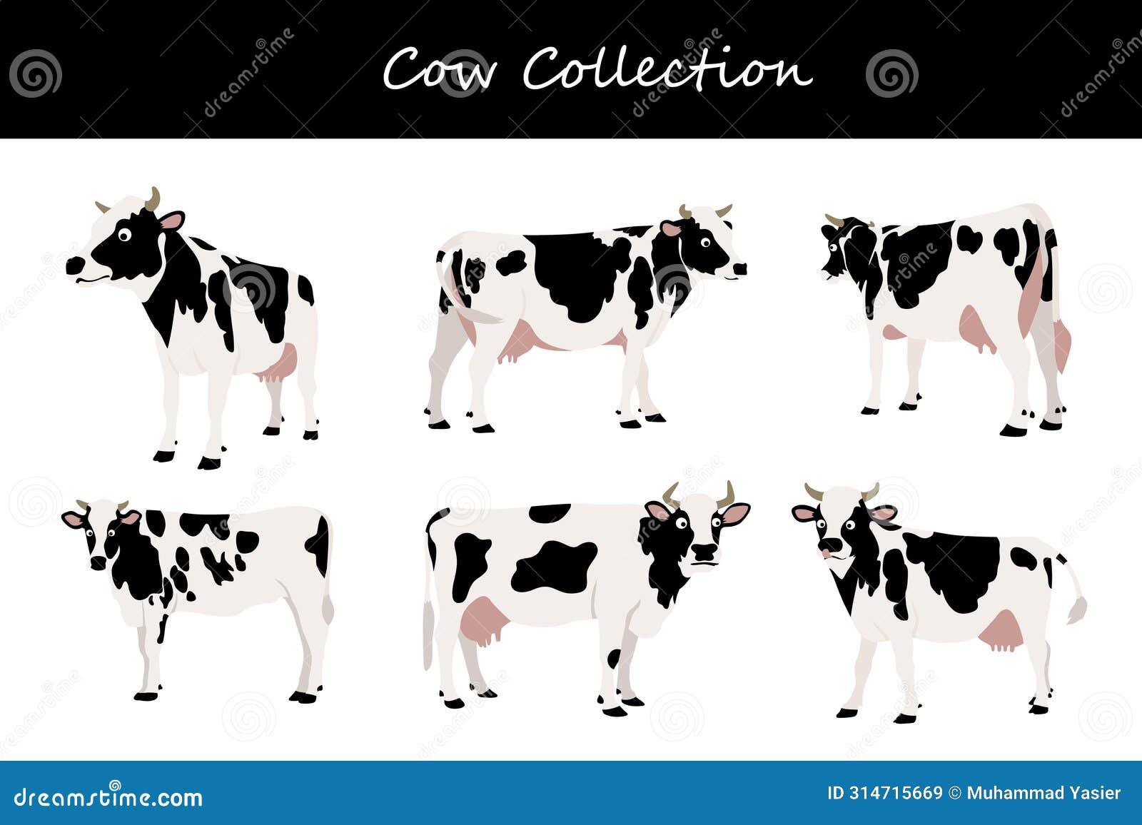Cows Collection. Cows in Different Poses. Vector Illustration Stock ...