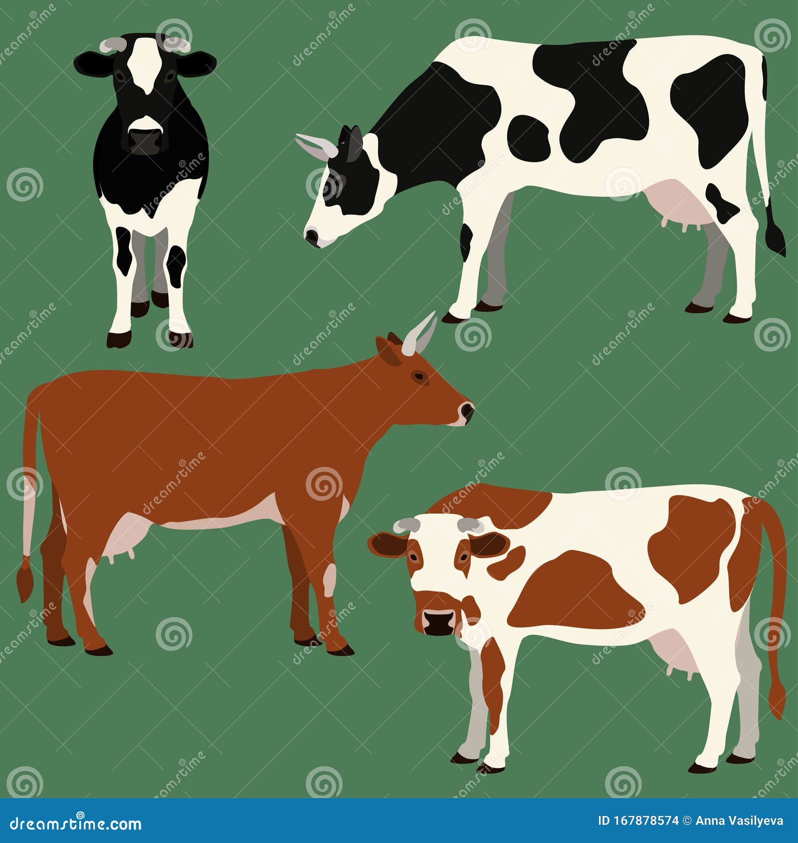 Cows Of Different Breeds Set, Cattle Breeding, Farming, Dairy Cattle ...