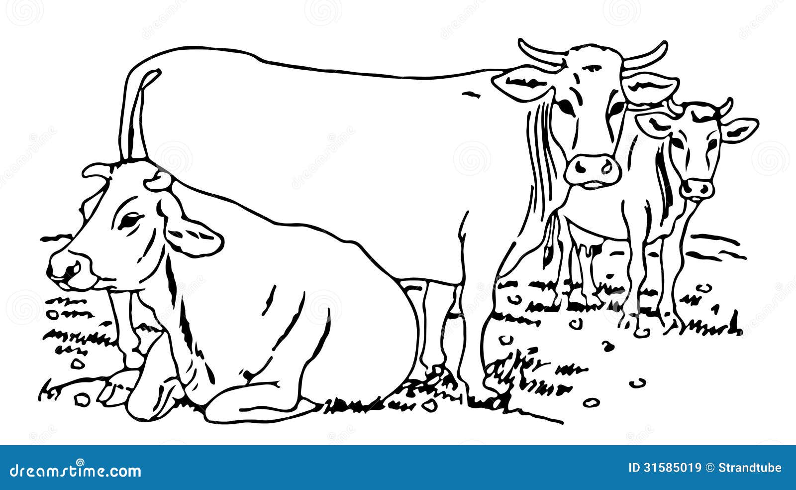 Cows stock illustration. Illustration of farming, farm - 31585019