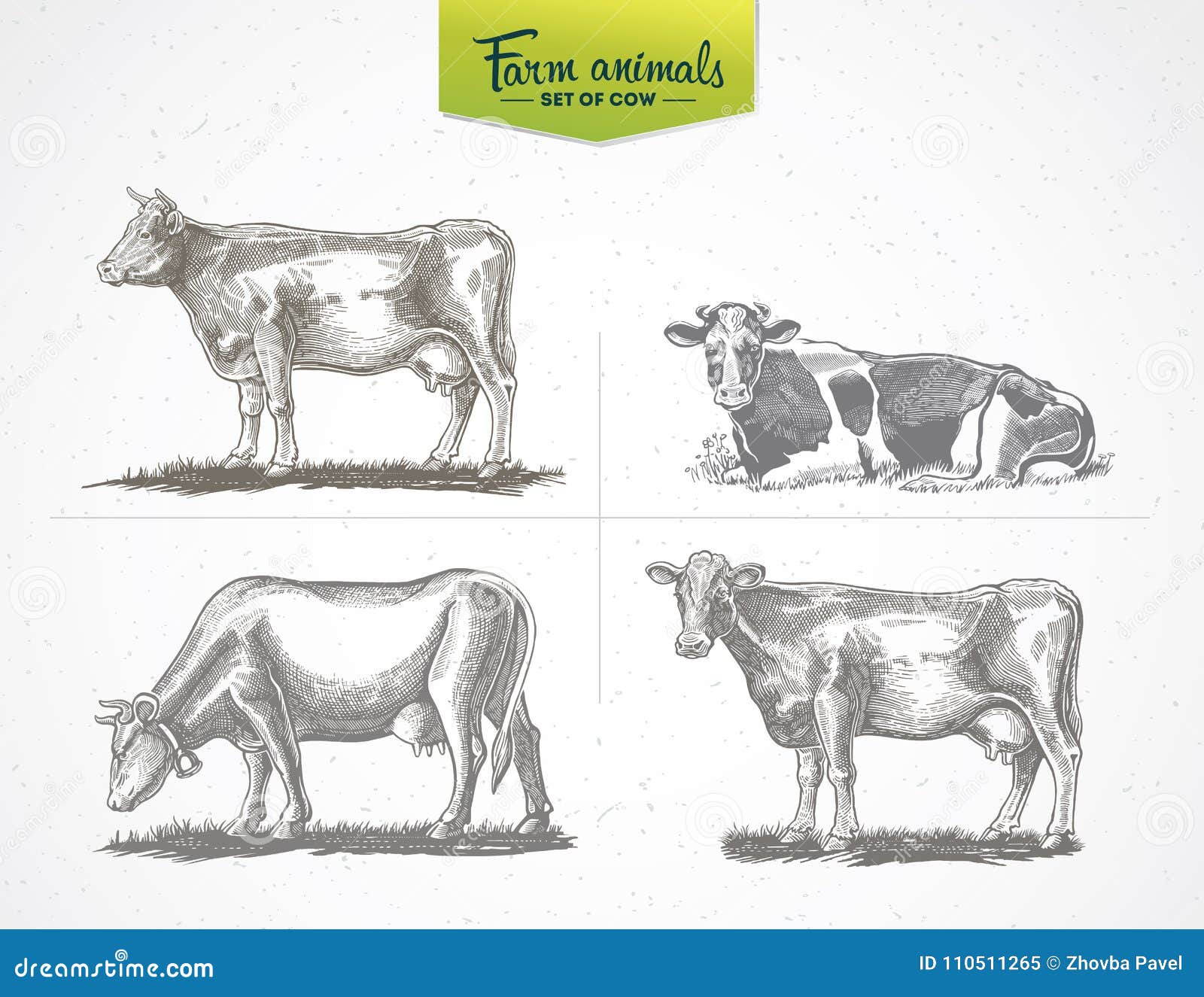 Cows in graphic style stock vector. Illustration of food - 110511265