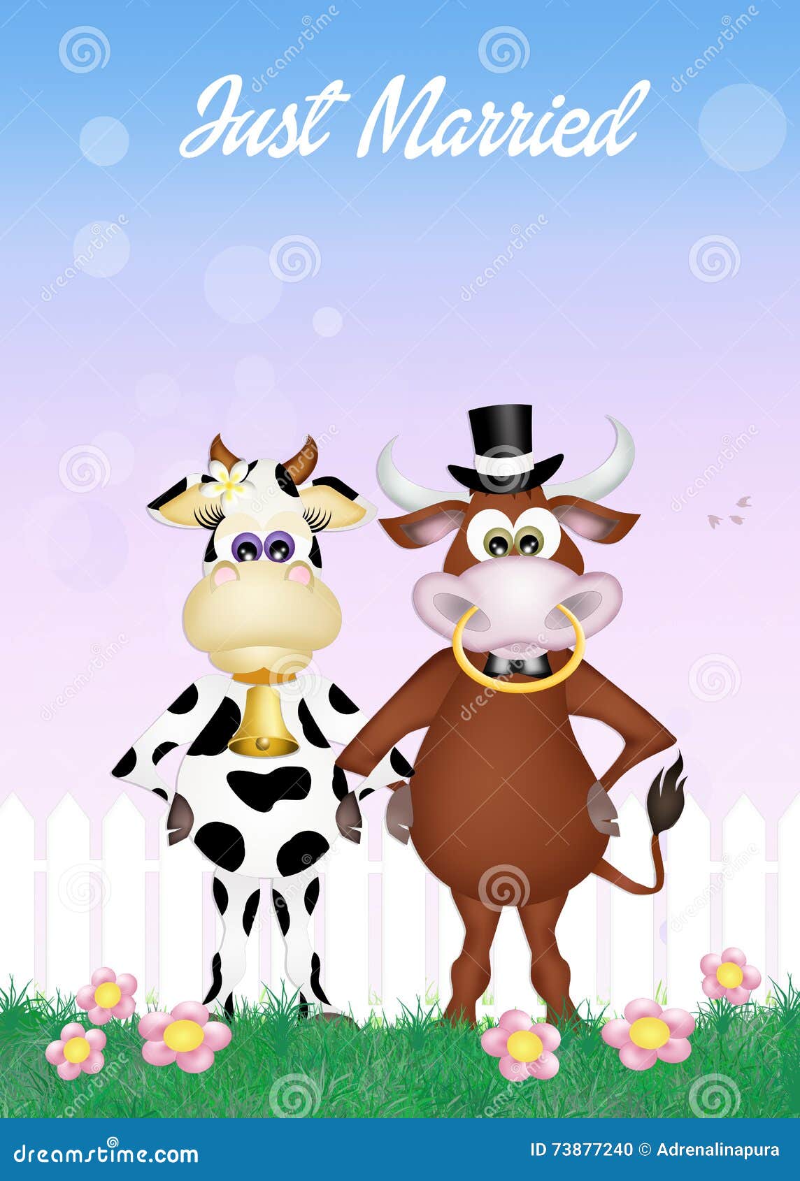 Cows marry stock illustration. Illustration of love, funny - 73877240