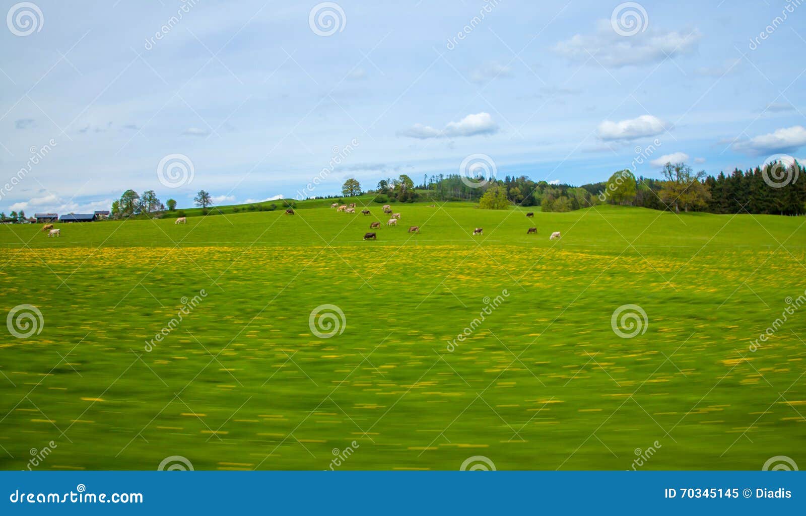 Cows Pasture Abstract Nature Background Stock Image - Image of animal ...