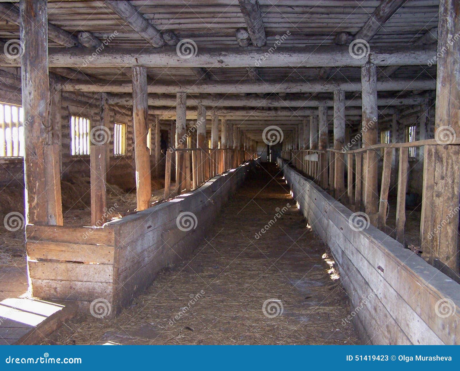 Cowshed stock image. Image of abandoned, wooden, cowshed - 51419423
