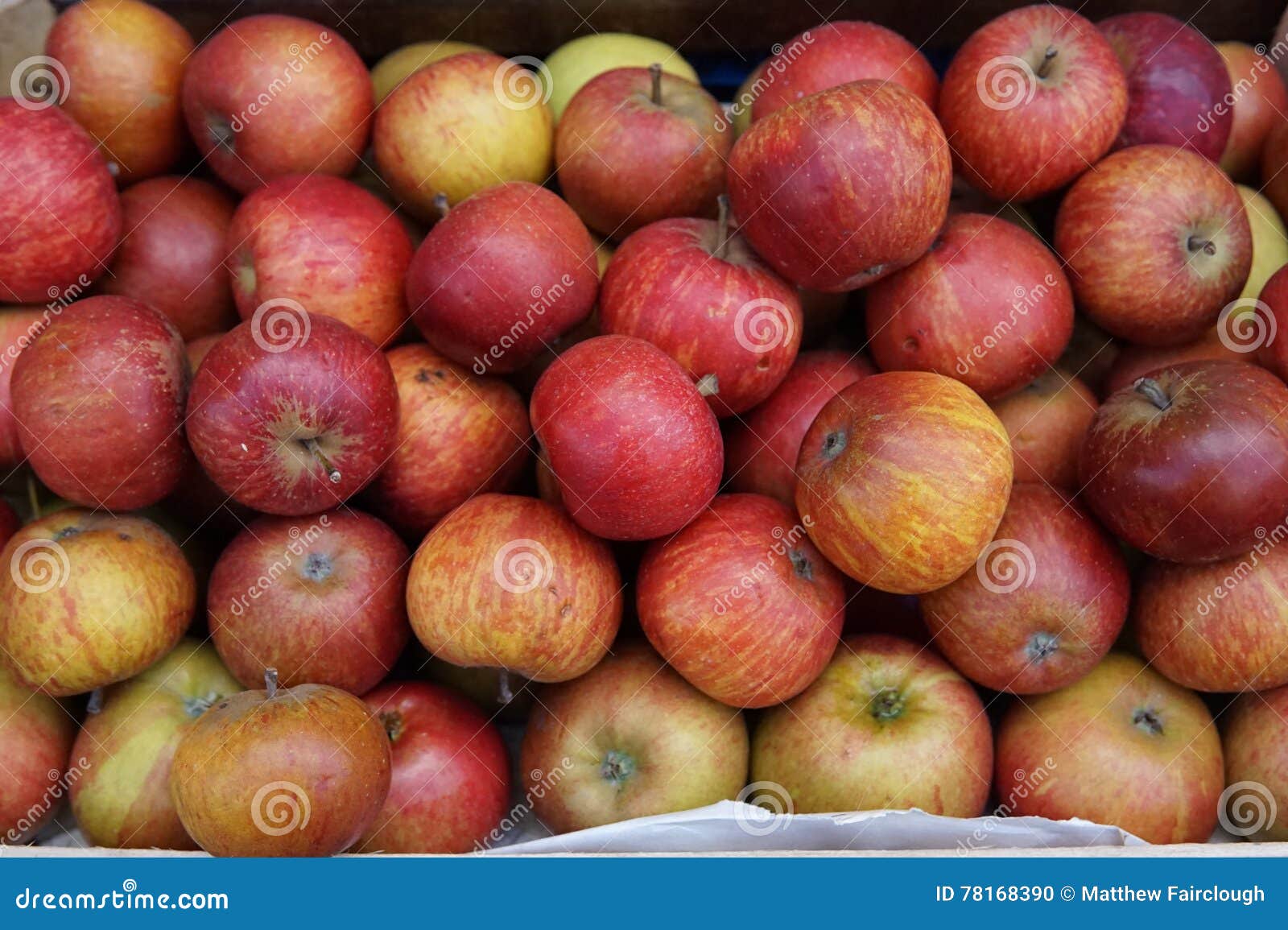 Cox Apples stock photo. Image of closeup, coxs, market - 78168390