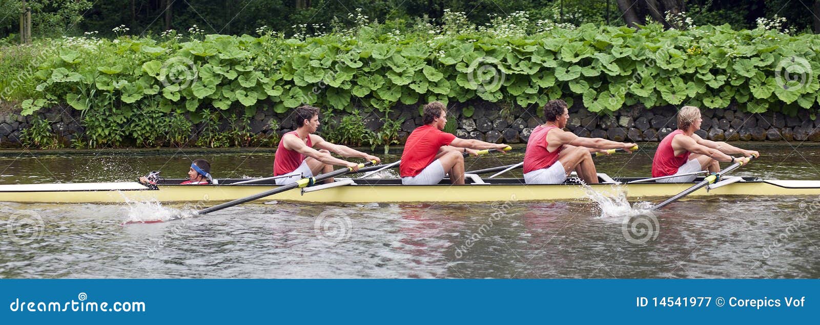 Coxed four on a canal stock image. Image of pulling, pace - 14541977