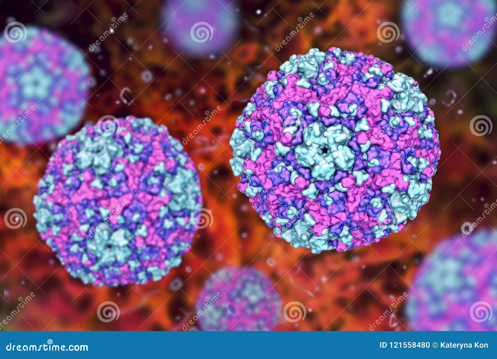Enterovirus 71 Structure