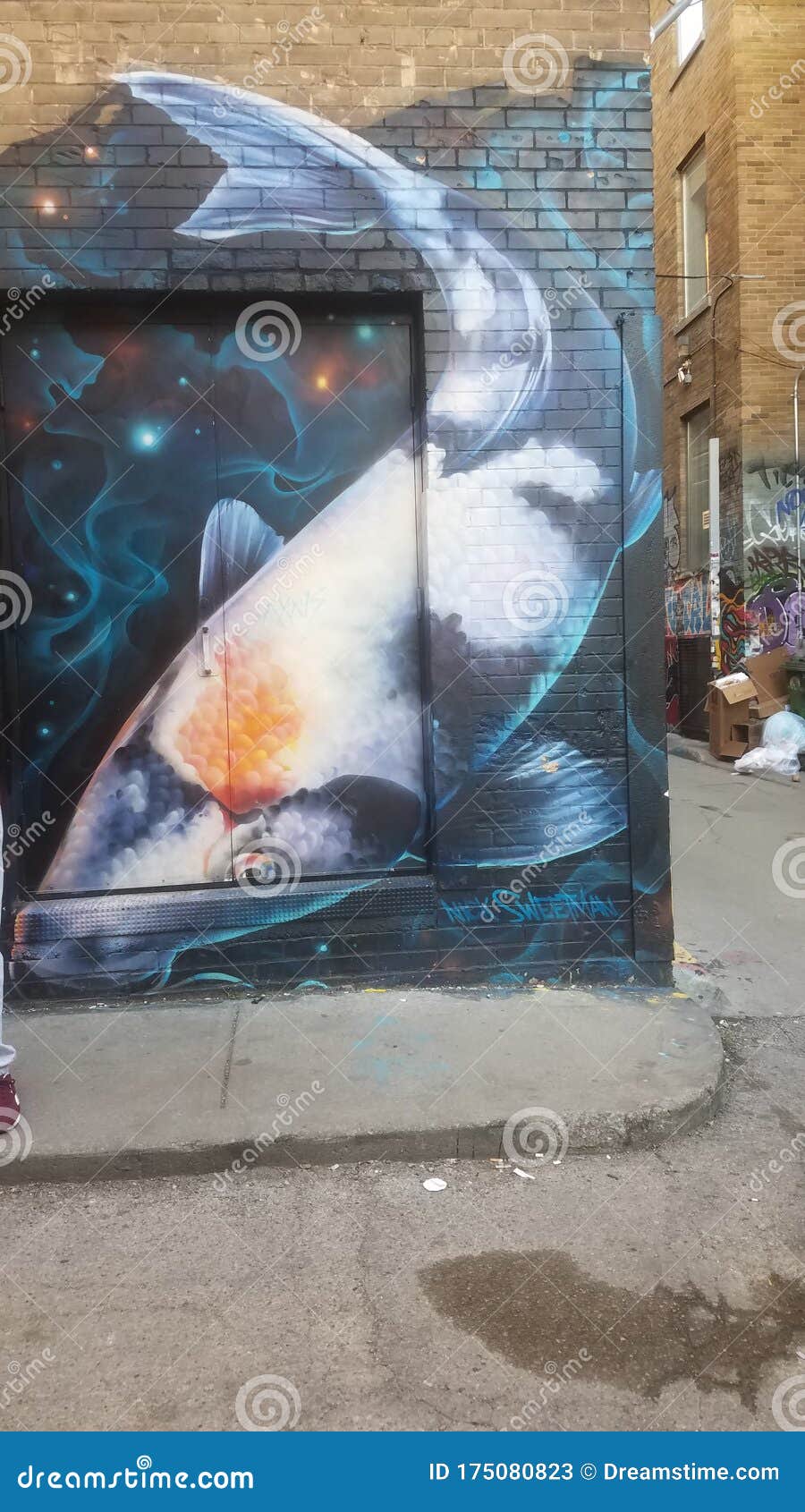 Coy Fish graffiti editorial stock photo. Image of fish - 175080823