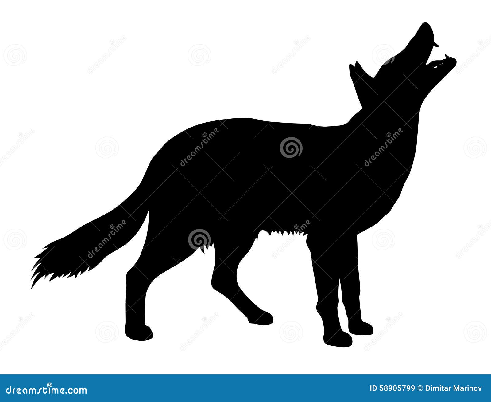 Coyote Stock Illustrations – 8,629 Coyote Stock Illustrations, Vectors ...