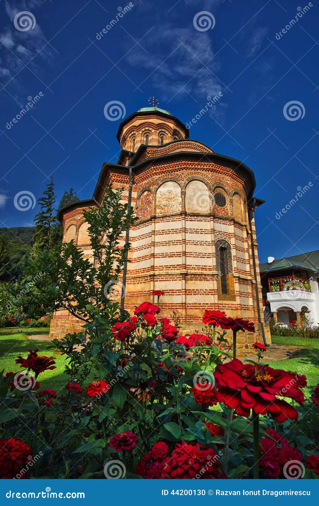 Cozia Monastery Lateral View Stock Photo - Image of roses, christianity ...