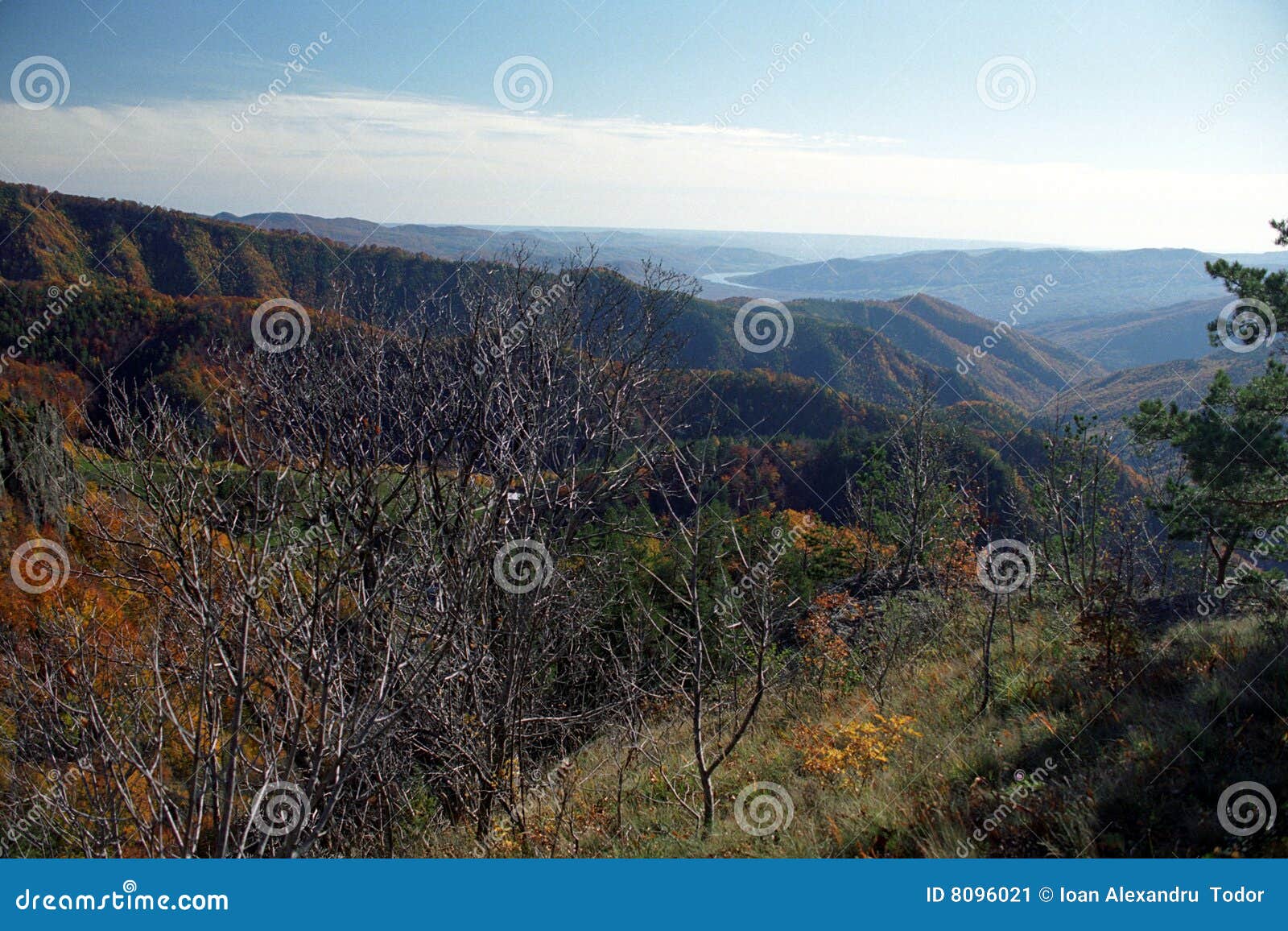 Cozia Mountain and Olt Valley Stock Image - Image of forest, romania ...