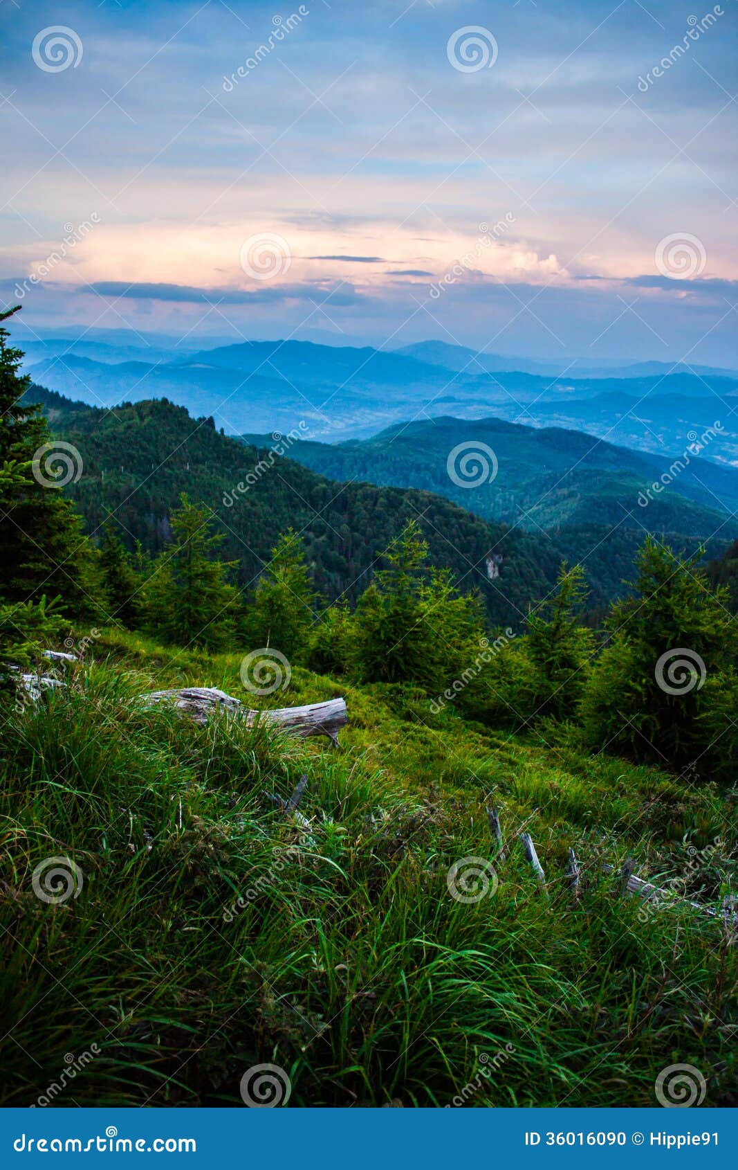 Cozia stock photo. Image of natural, heaven, magic, mystery - 36016090