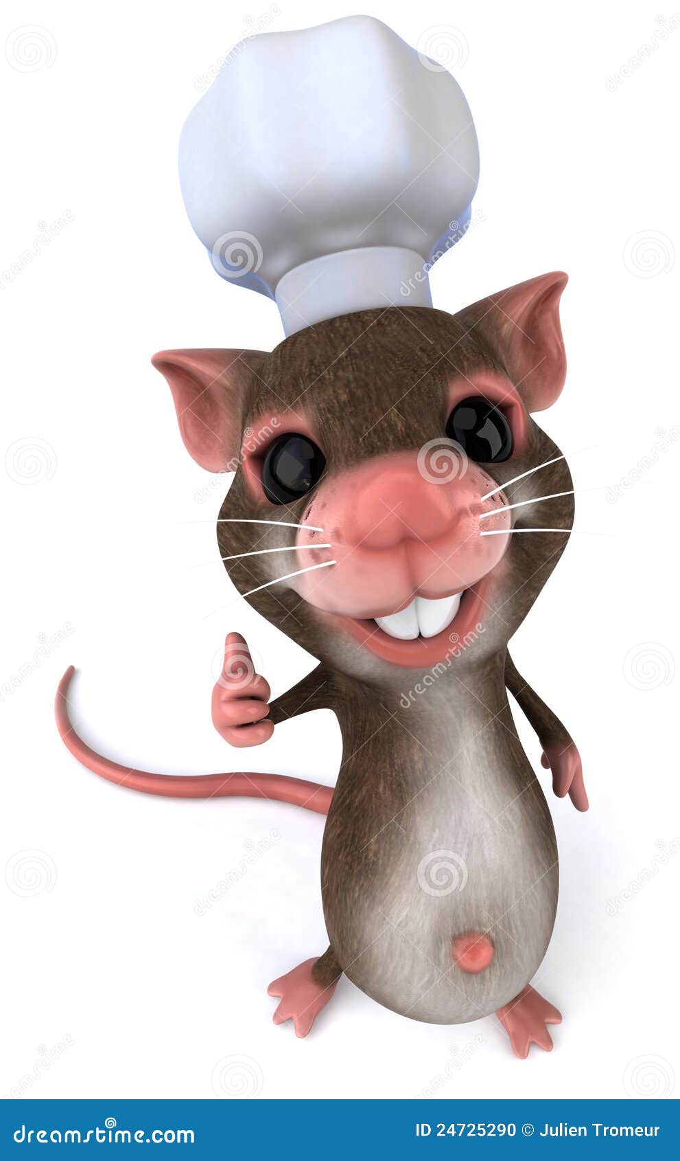 Cozinheiro chefe do rato ilustração stock. Ilustração de marrom - 24725290