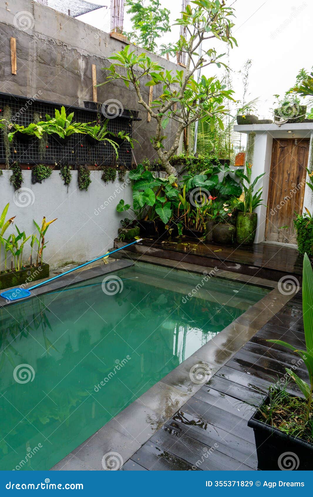 Cozy Backyard Pool with Tropical Plants and Wooden Deck in Modern ...