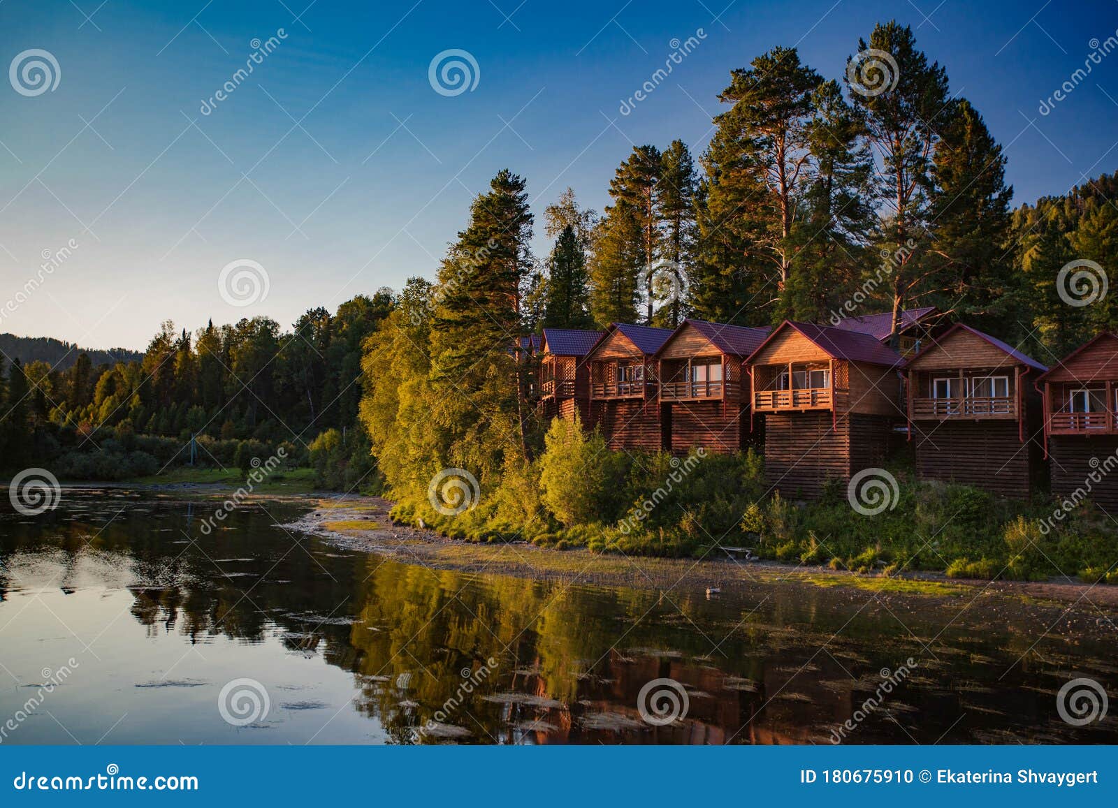 Cozy Cabins in the Forest Near River Stock Photo - Image of cozy, pond ...
