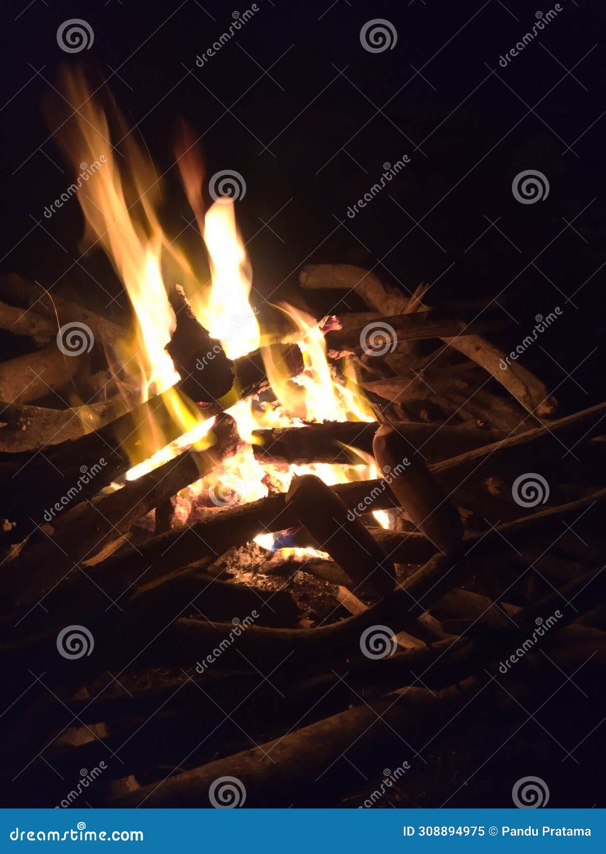 Cozy Campfire at the Beach of Gunungkidul Yogyakarta Stock Image ...