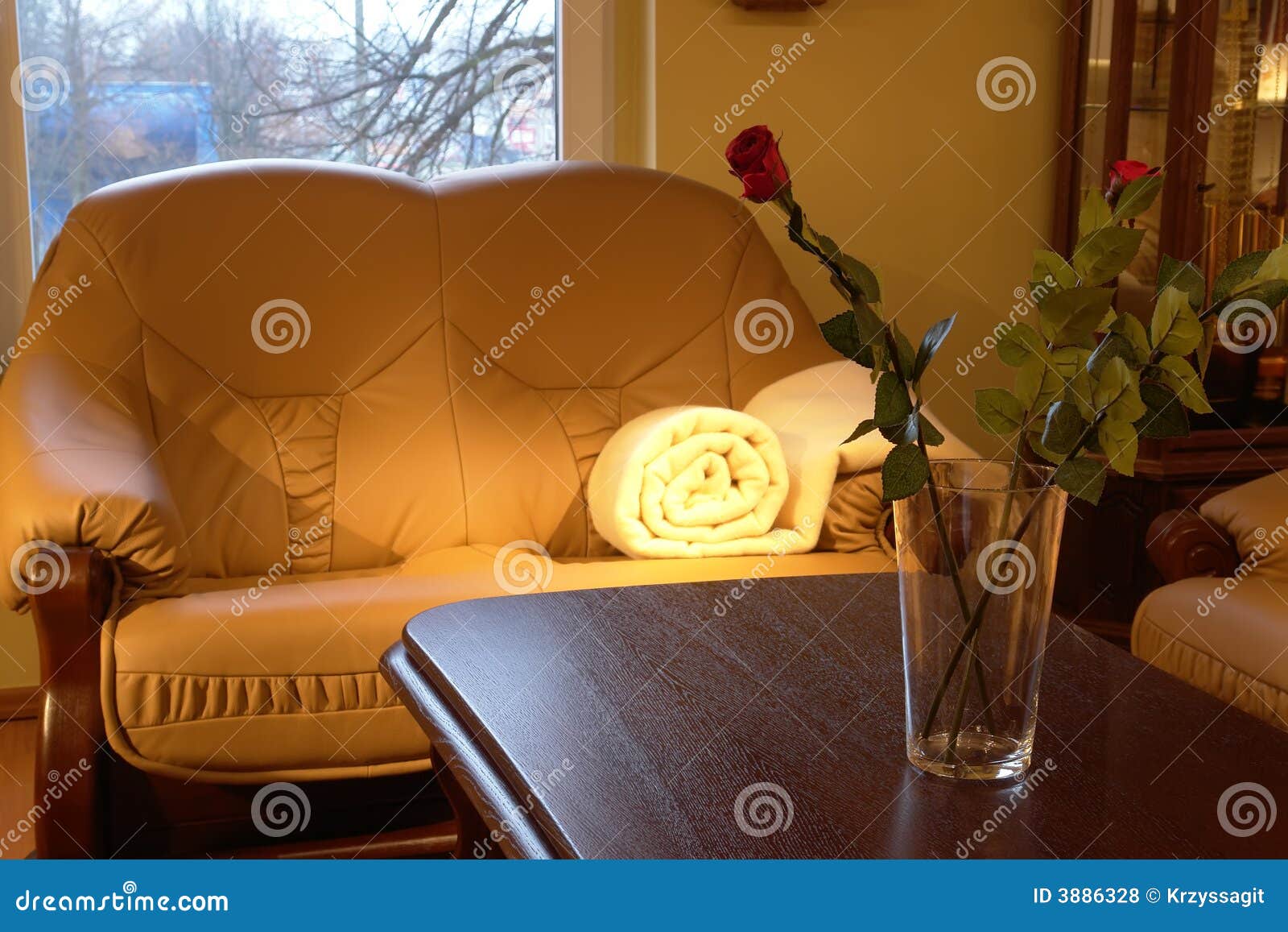 Cozy Couch in the Living Room Stock Photo - Image of flowers, stylish ...