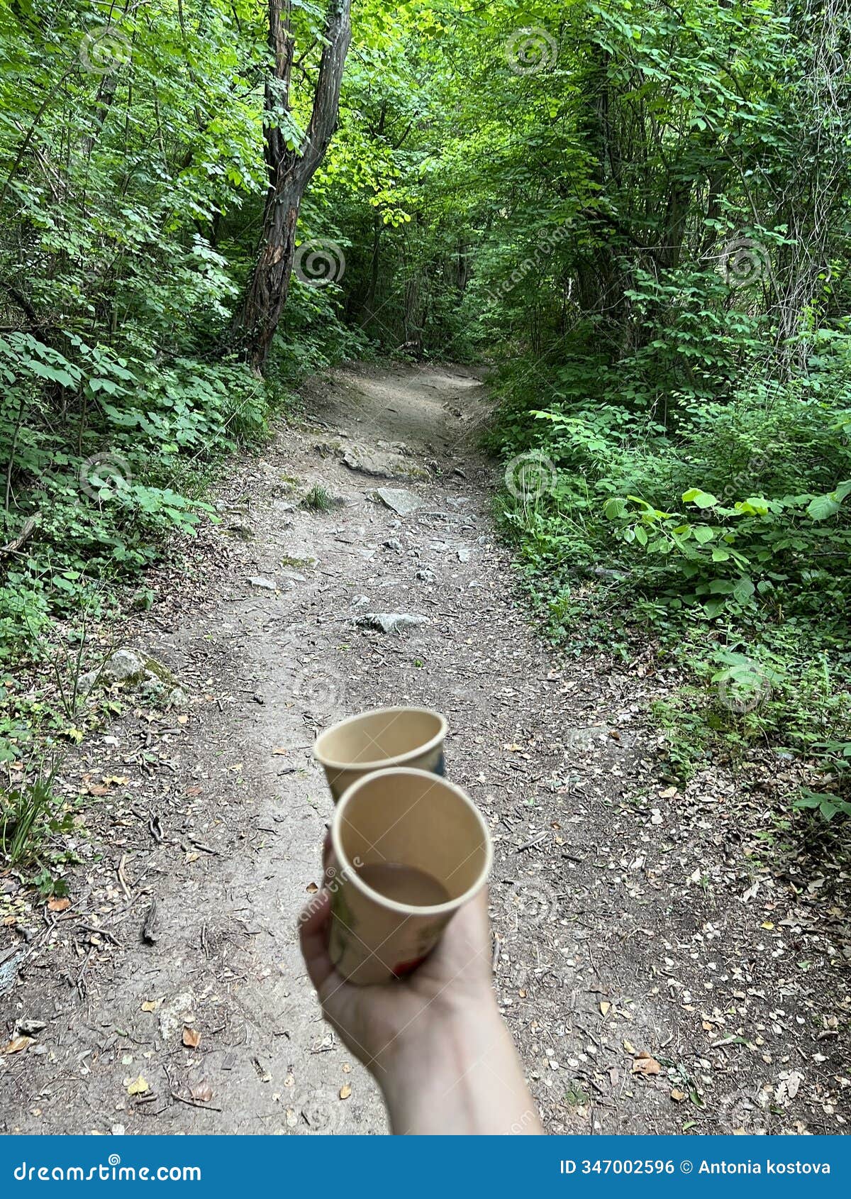 Forest Path with Coffee Cups Stock Photo - Image of hand, forest: 347002596