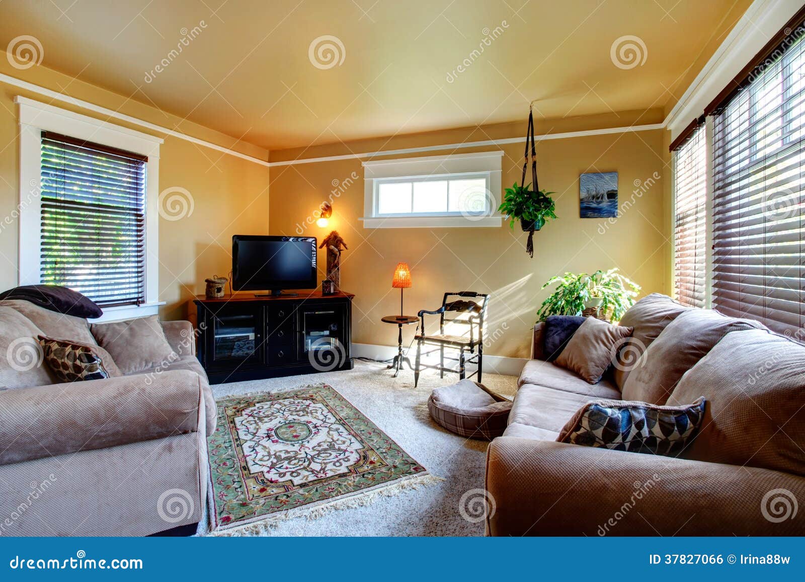 Cozy Living Room with Couch and Tv Stock Photo - Image of green, living ...