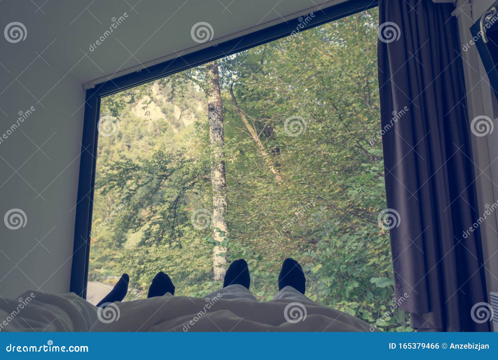 Cozy Point of View from Bed Looking through Window into Forest. Stock ...