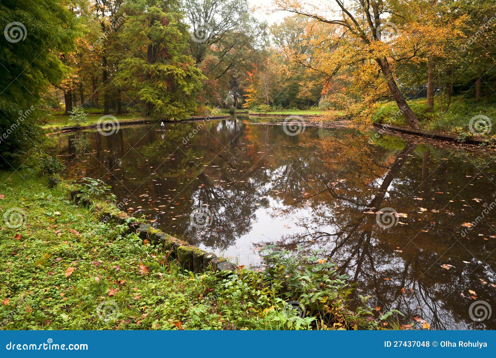 Cozy Pond and Colorful Trees in Autumn Stock Photo - Image of scenics ...
