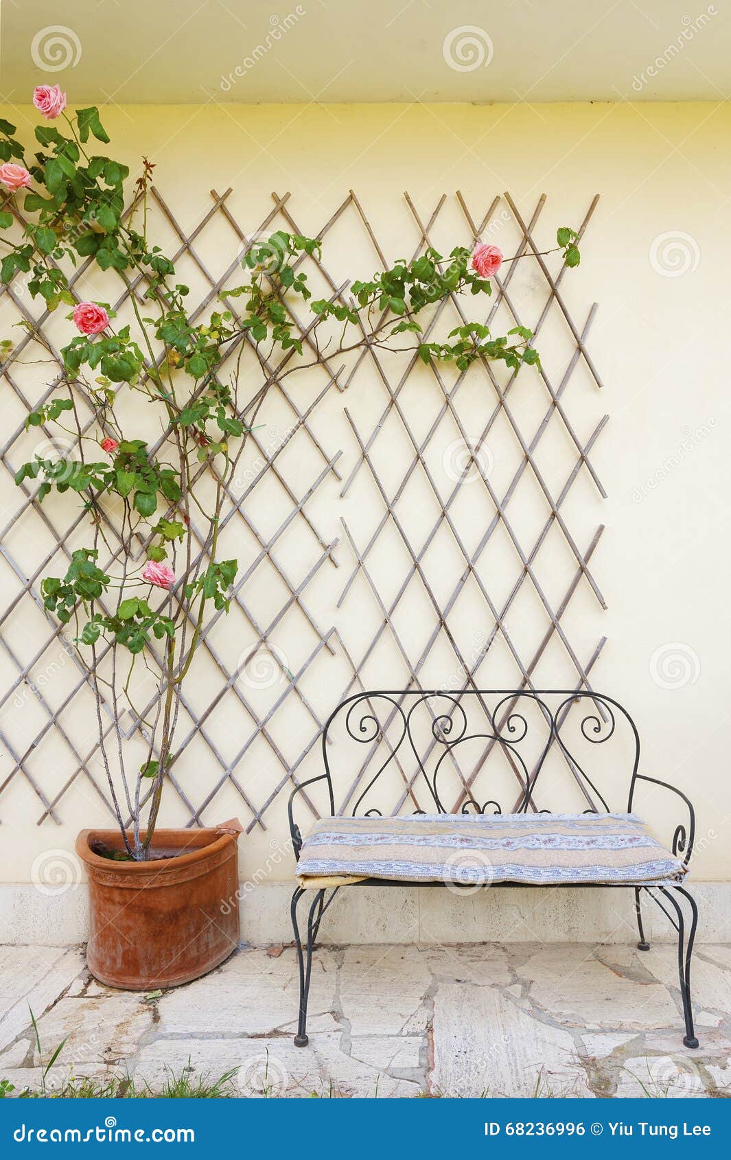 Cozy rose garden stock photo. Image of house, natural - 68236996