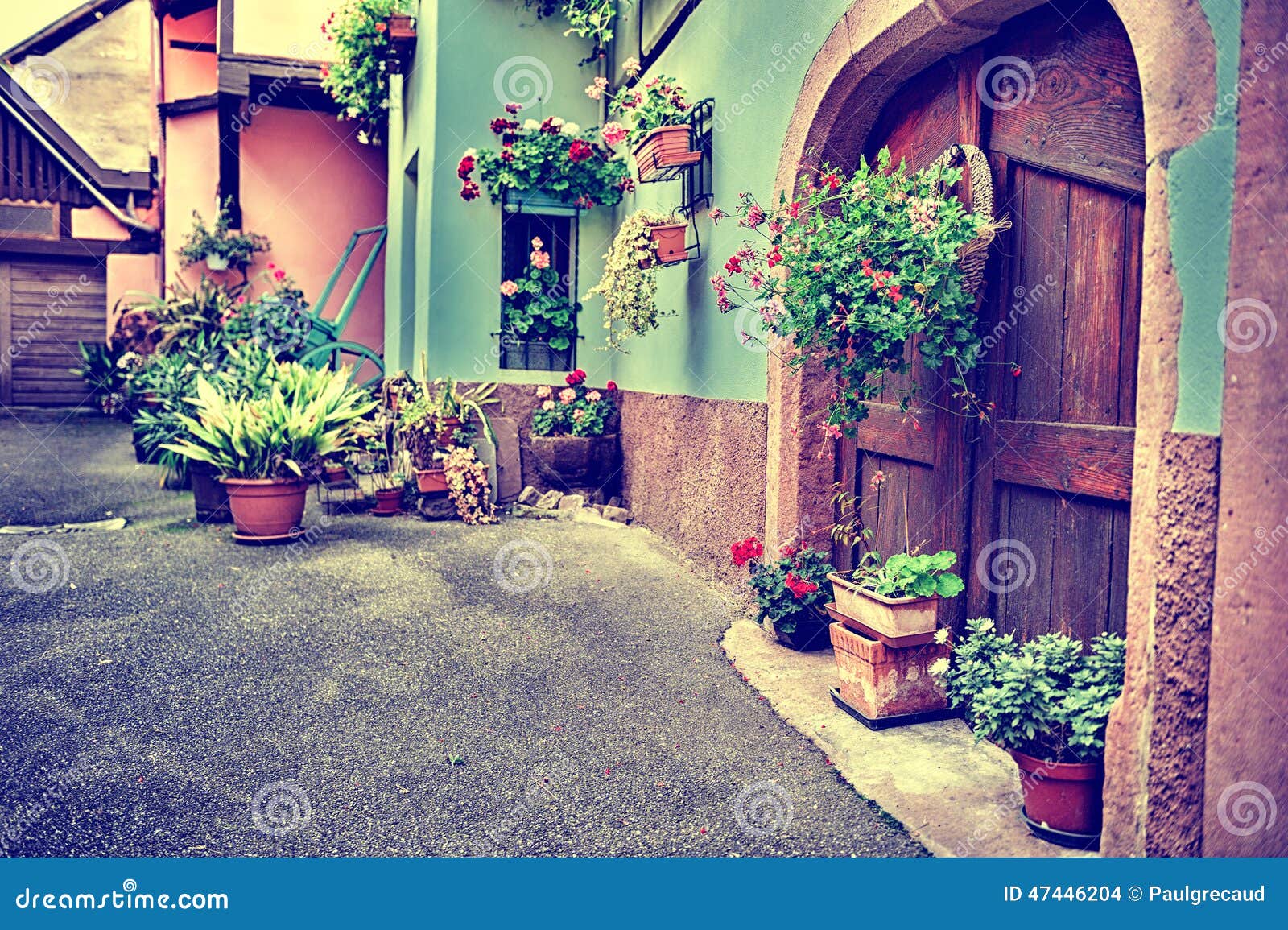 Cozy Rustic Backyard with Colorful Flowers Stock Photo - Image of green ...