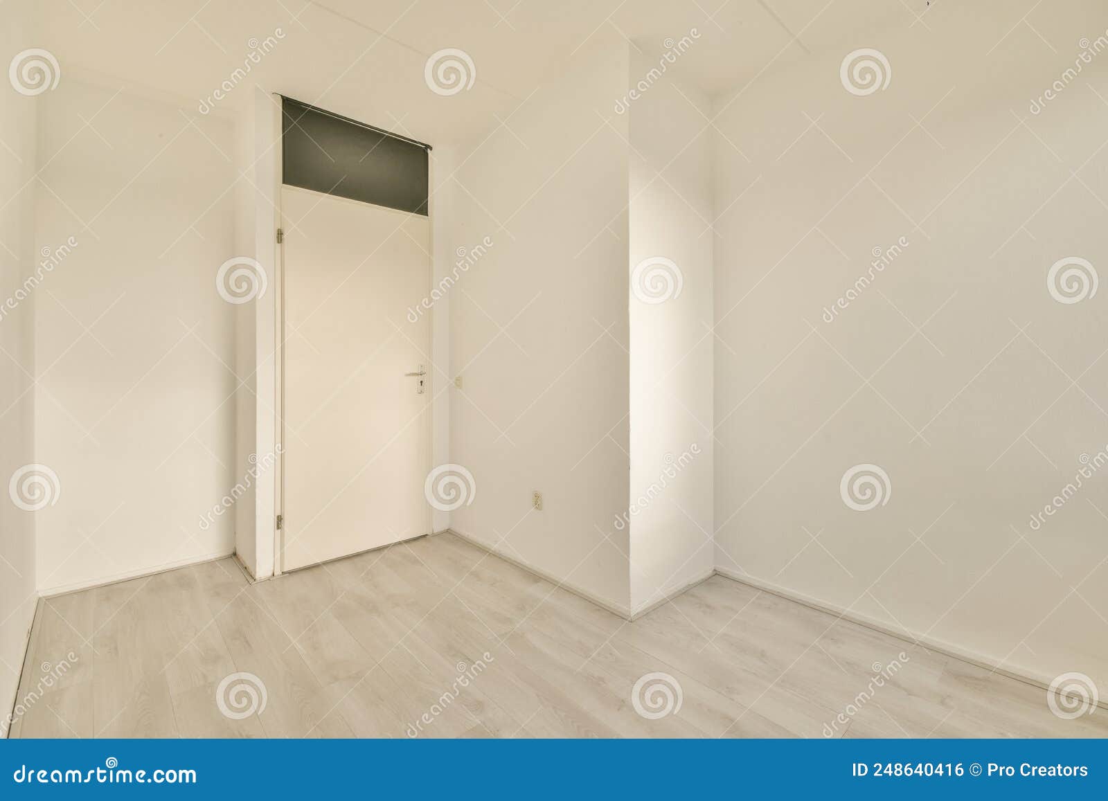 Spacious empty room stock photo. Image of clean, luxurious - 248640416