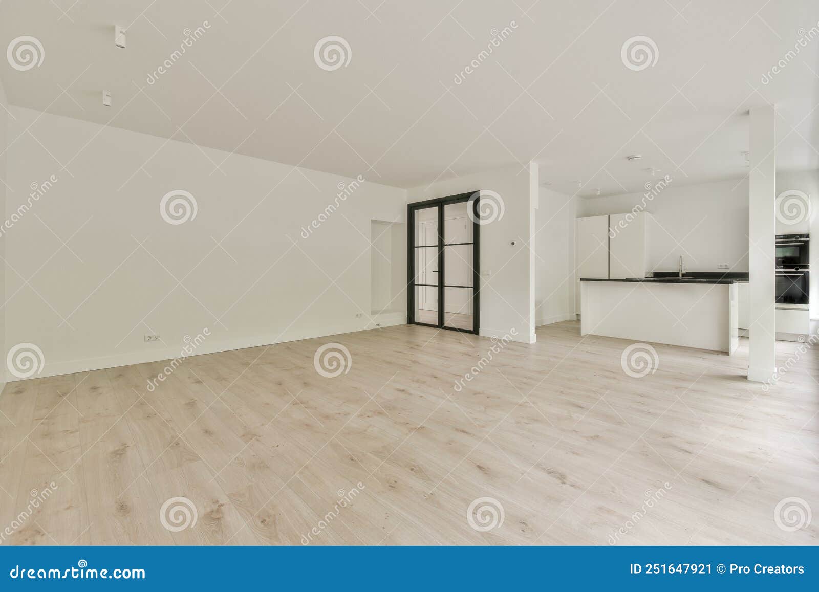 Spacious empty room stock image. Image of empty, home - 251647921