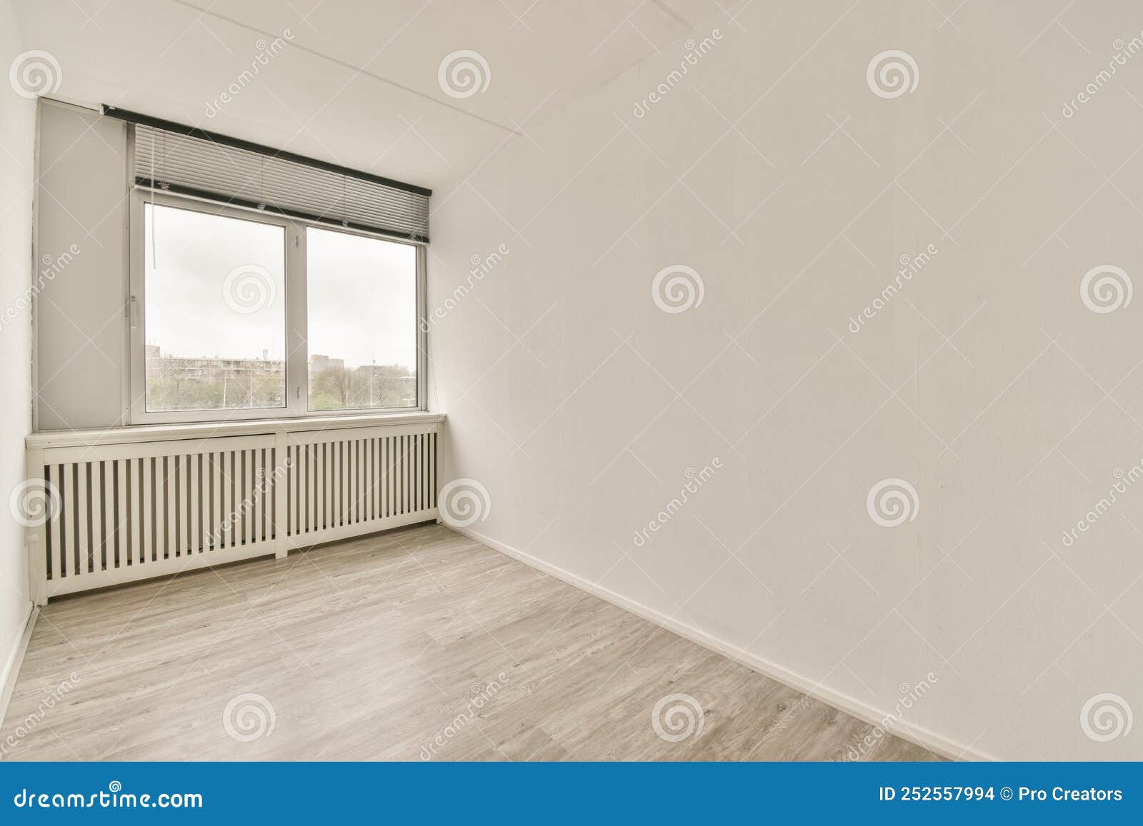 Spacious empty room stock photo. Image of room, spacious - 252557994