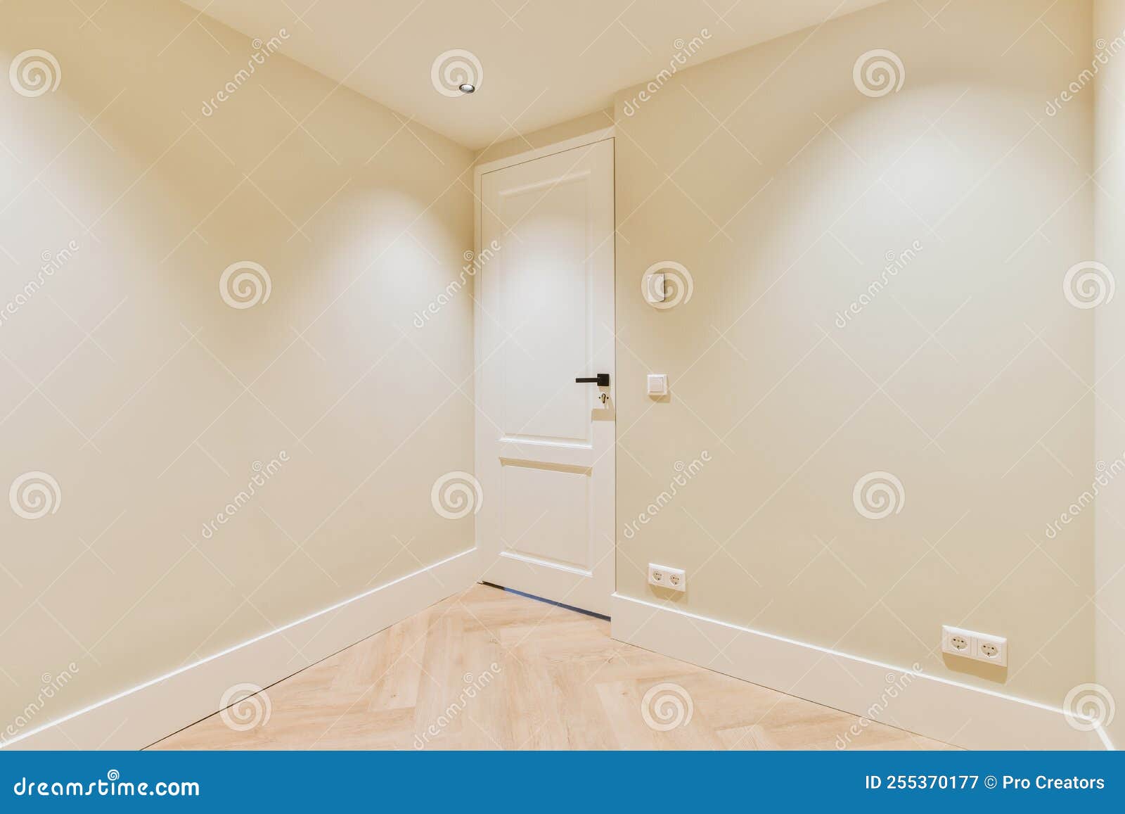 Spacious empty room stock image. Image of modern, stylish - 255370177