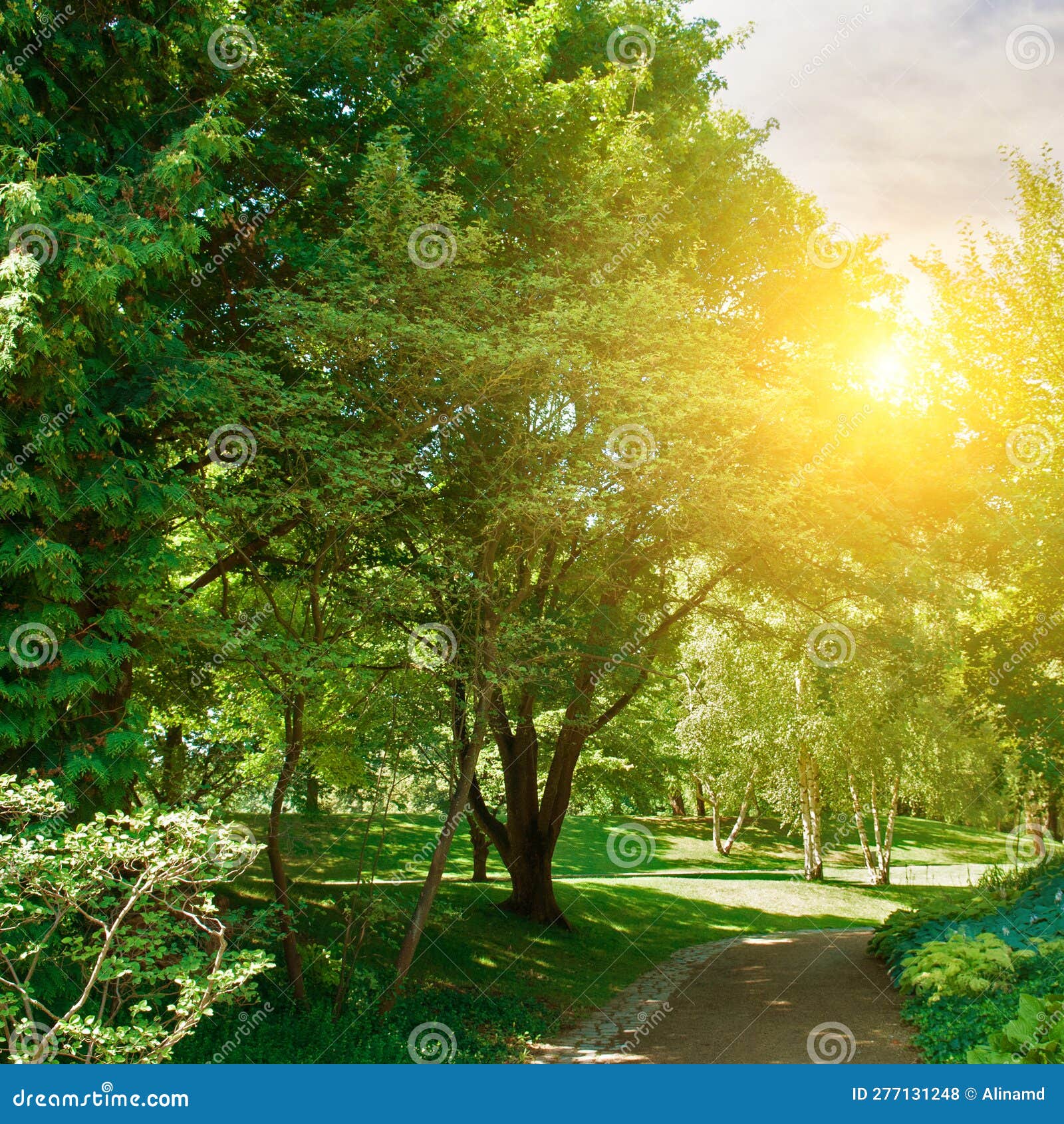 Cozy Summer Garden with Paths and Lawns Stock Photo - Image of sunlight ...