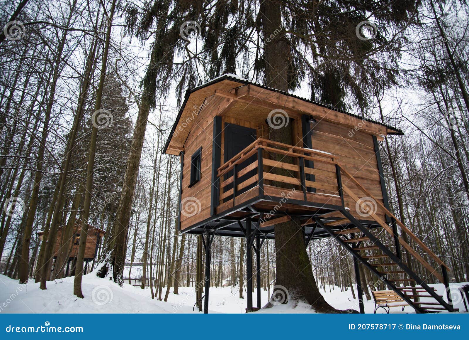 Cozy Tree House. among the Trees in the Winter Forest House Made of ...