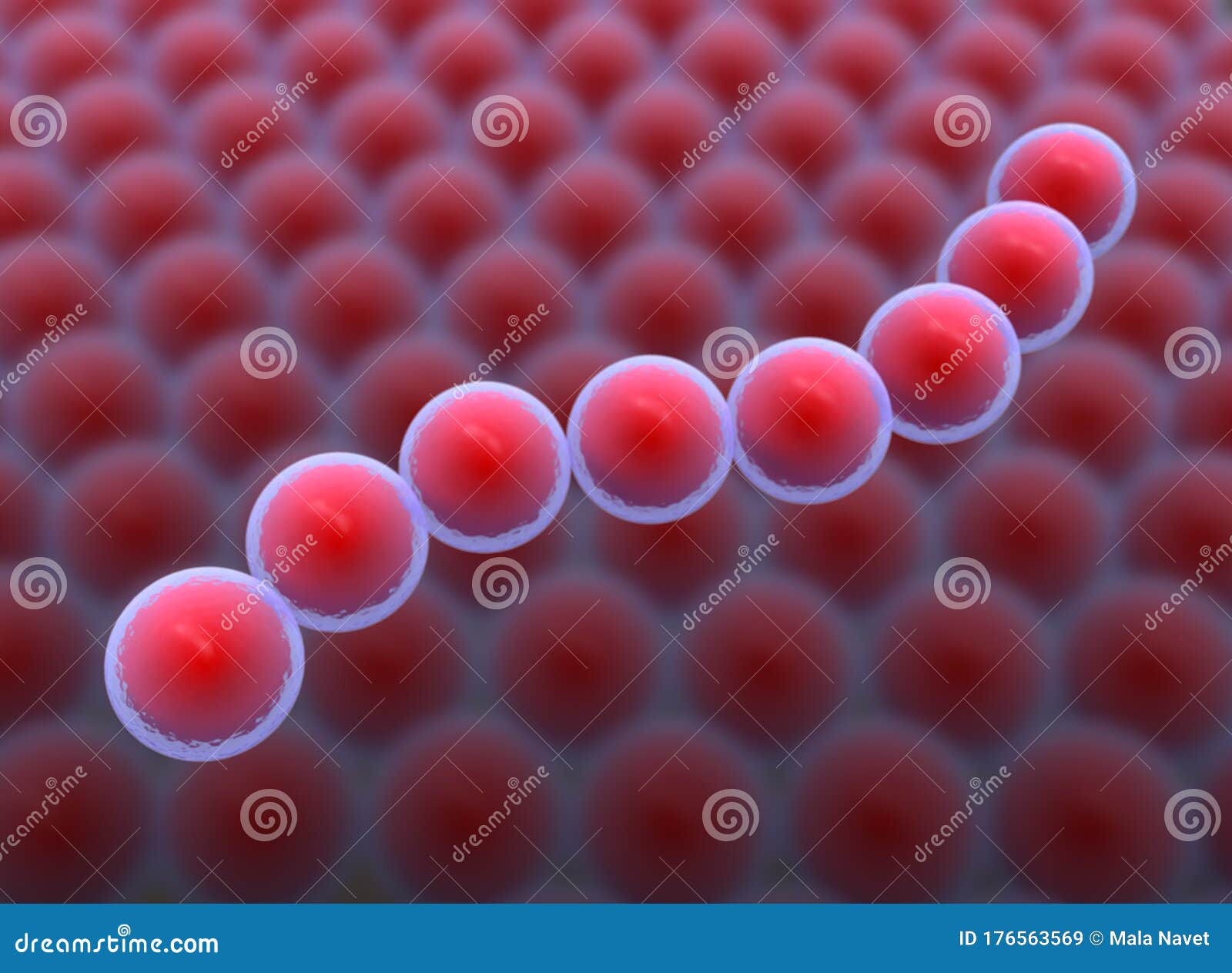Cocci Shape Of Bacteria. Streptococci Type Bacteria. Stock Photography ...