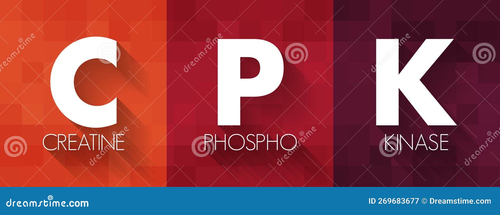 CPK Creatine Phosphokinase - Enzyme Expressed By Various Tissues And ...