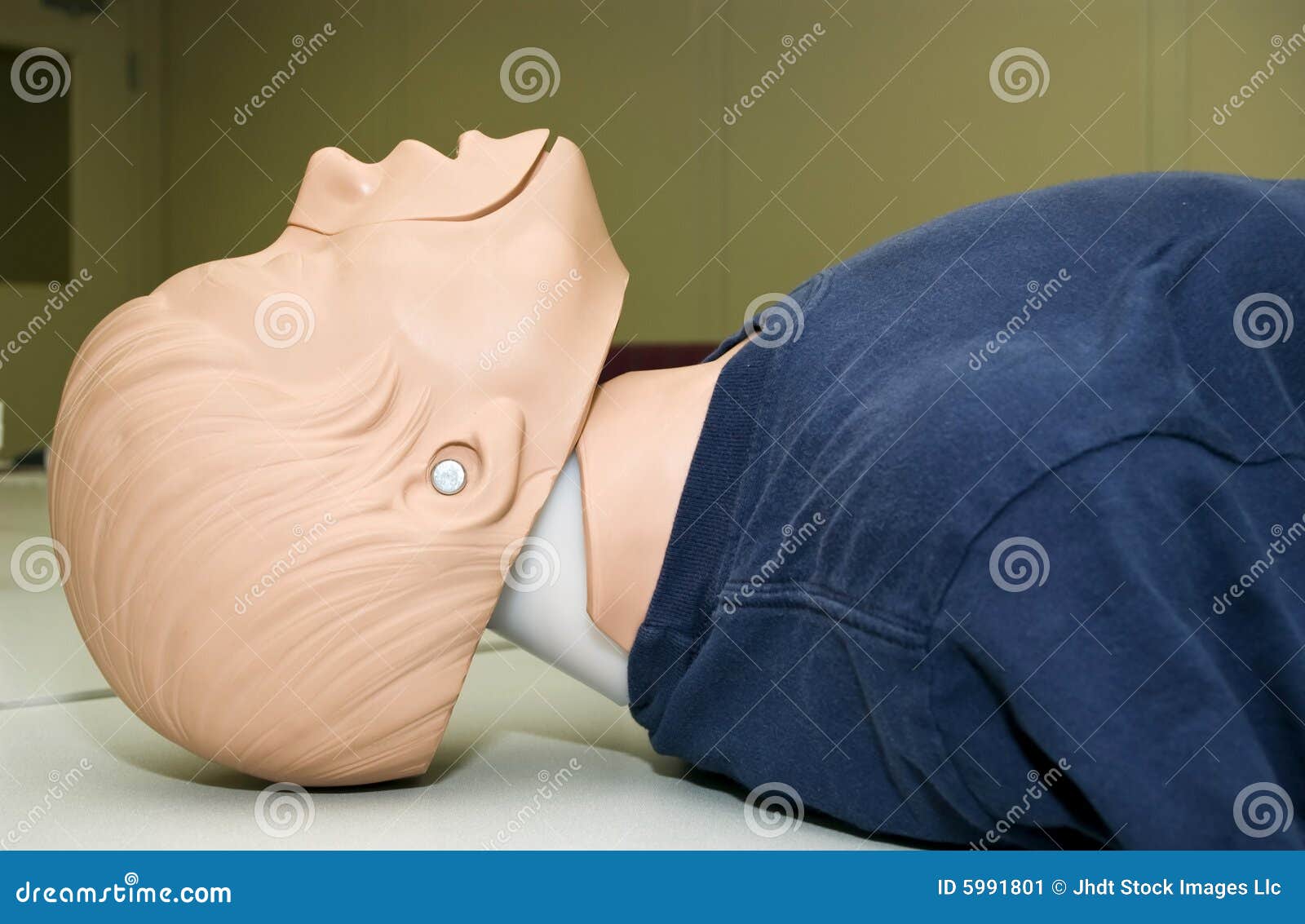 CPR dummy stock image. Image of lung, instructions, dummy - 5991801