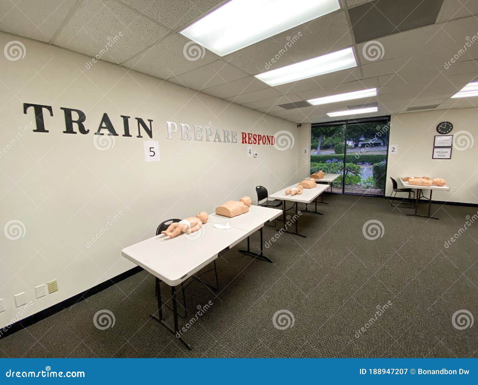 CPR Training Class with CPR Dummy for First Aid Training Stock Image ...