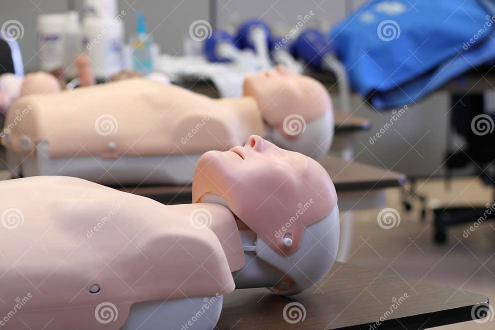 CPR Training Dummies stock image. Image of medicine, paramedic - 42688845