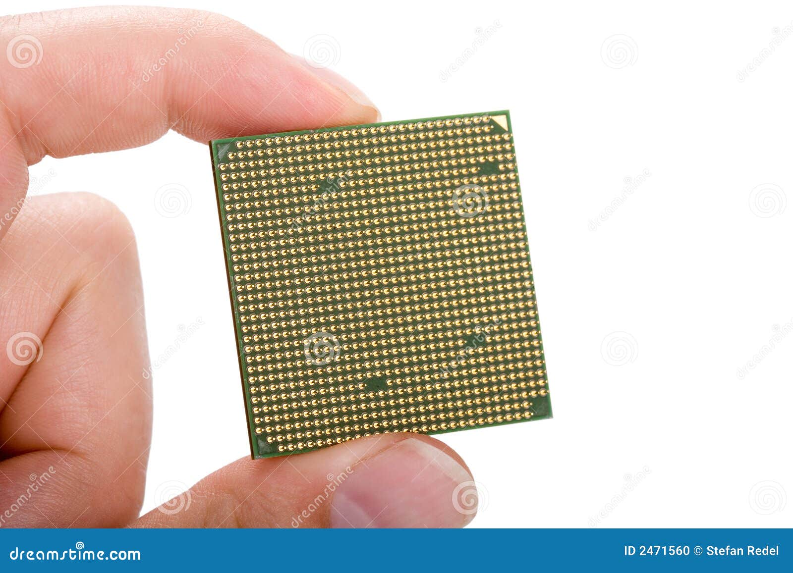 This is a CPU stock photo. Image of showing, back, white - 2471560