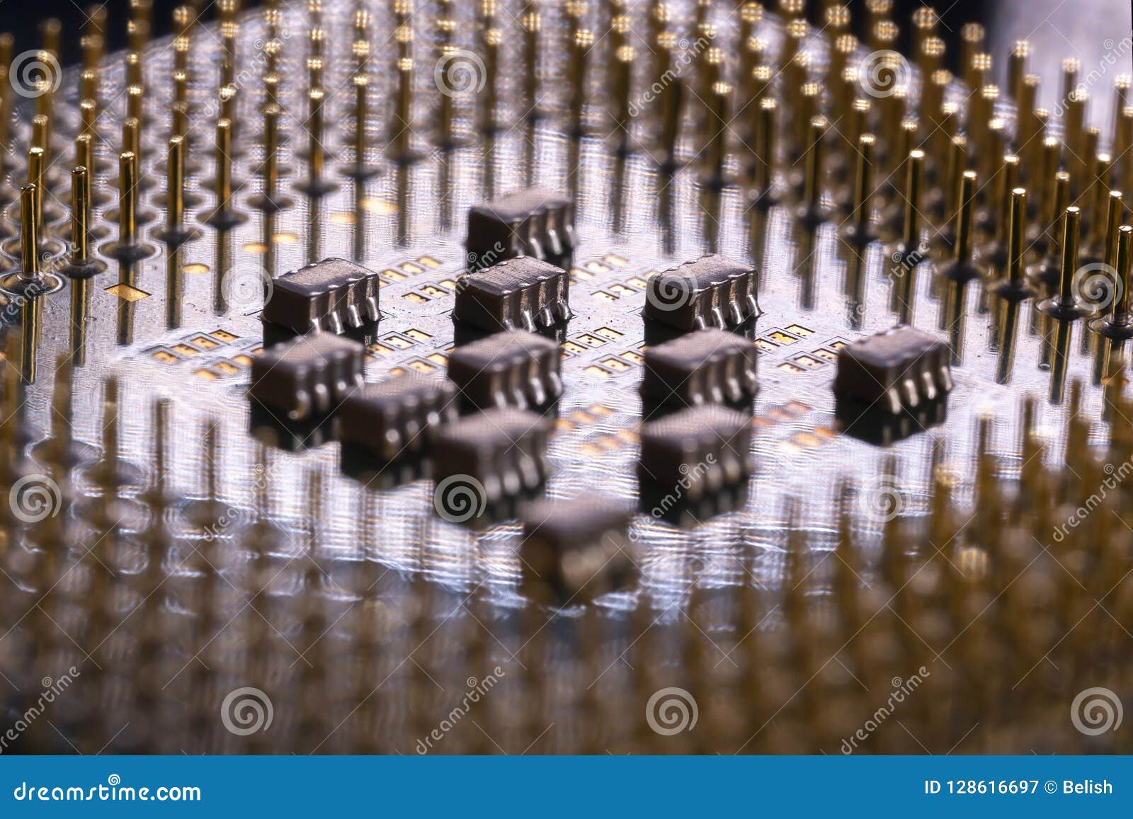 CPU from the bottom stock image. Image of connection - 128616697