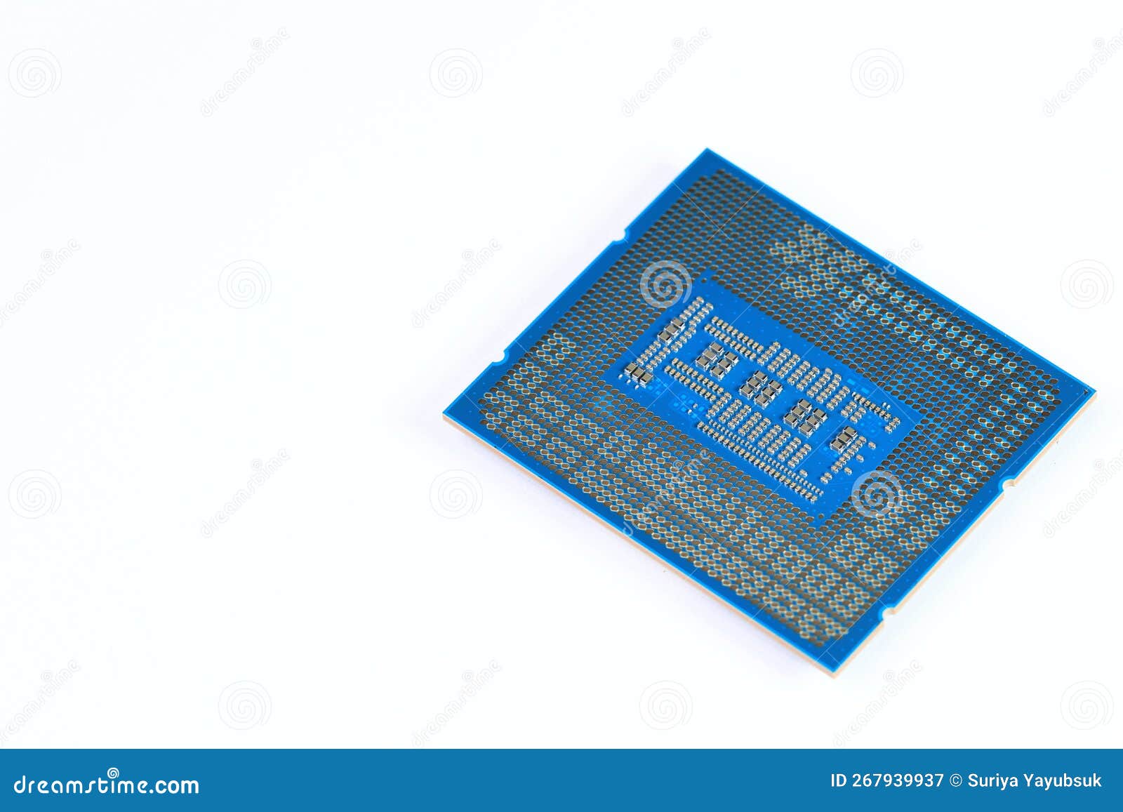 Cpu Central Processing Unit Computer Processor From The Bottom Side Stock Image Image Of