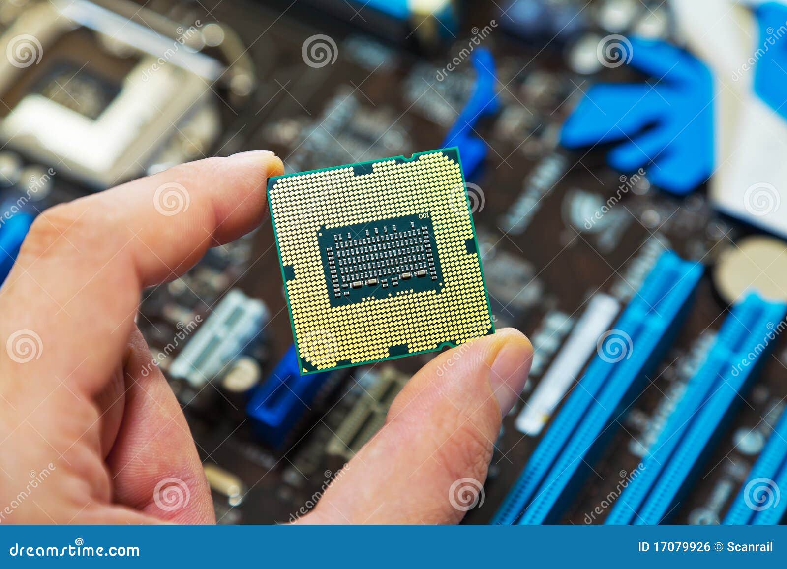 CPU in hand stock photo. Image of motherboard, array - 17079926