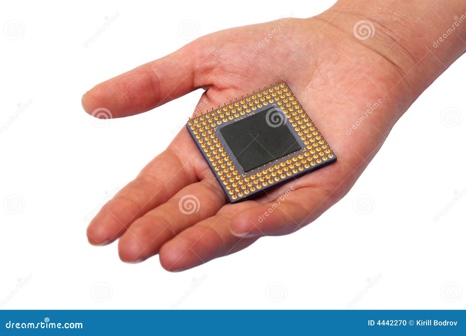 CPU in a hand stock photo. Image of control, device, isolated - 4442270
