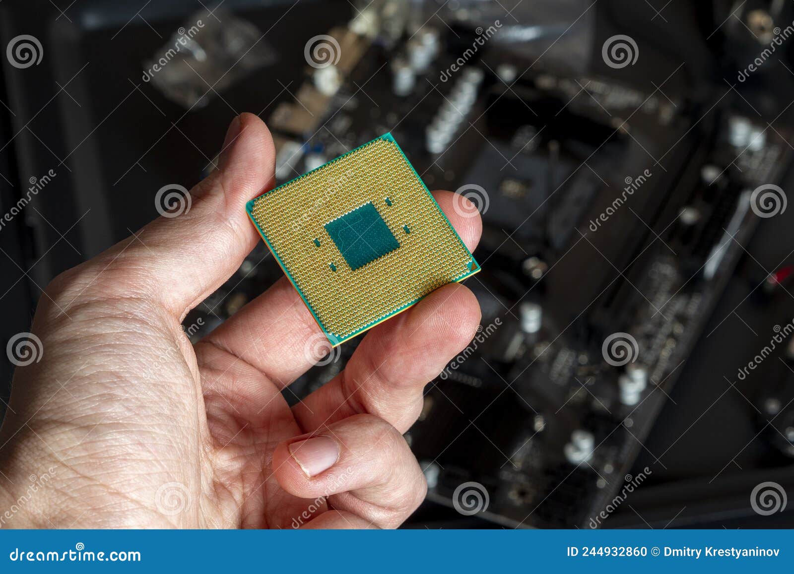 CPU in hand stock photo. Image of background, closeup - 244932860