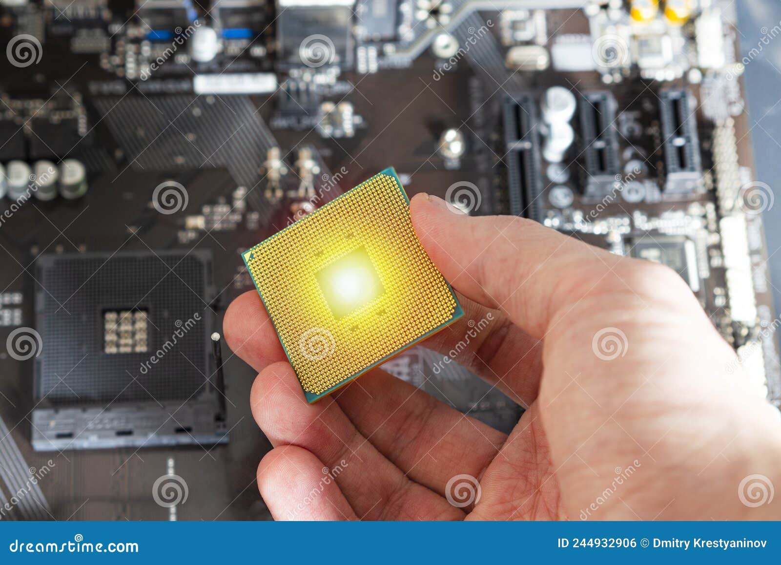 CPU in hand stock photo. Image of installation, hardware - 244932906