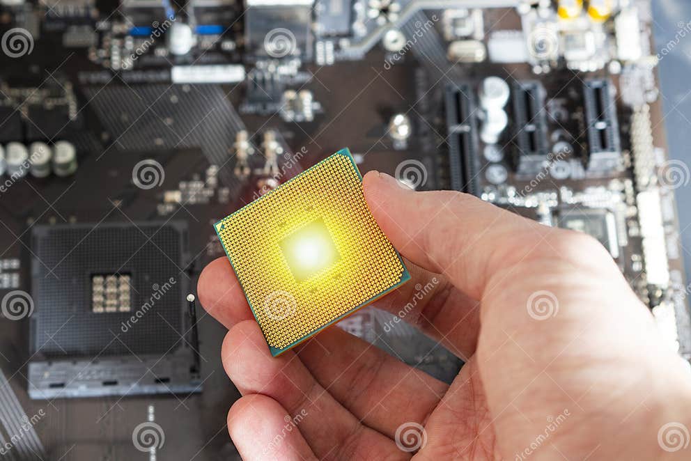 CPU in hand stock photo. Image of installation, hardware - 244932906