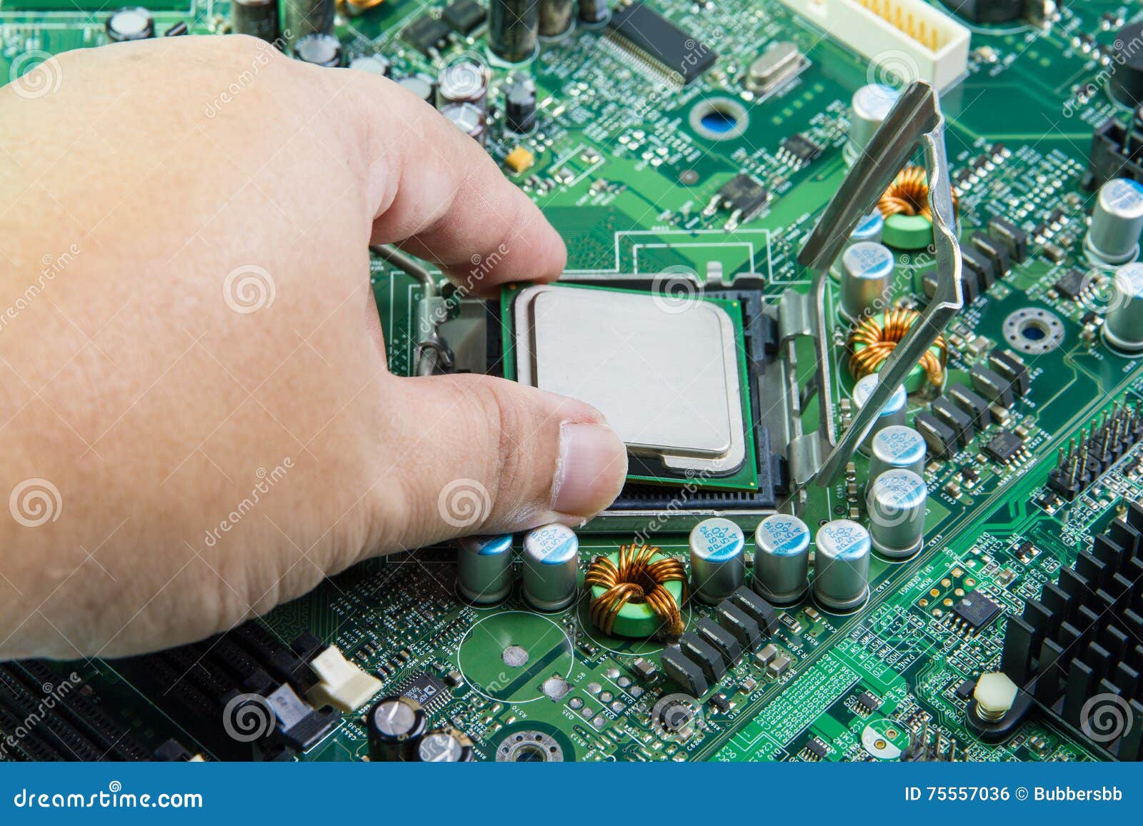 CPU in Hand before Installation into the Motherboard Stock Photo ...