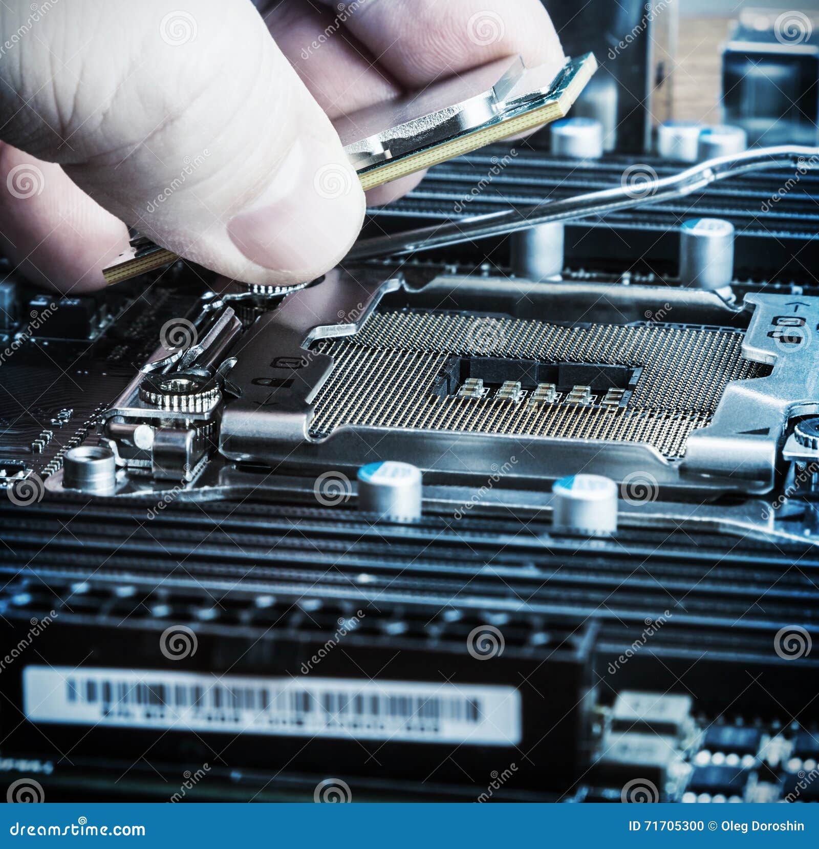 CPU in hand stock photo. Image of service, finger, socket - 71705300