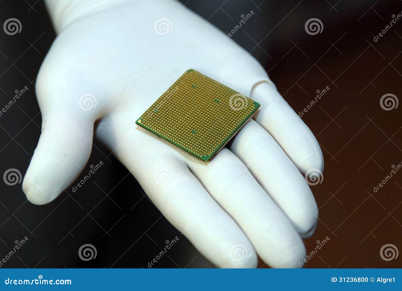 CPU in hand stock photo. Image of core, device, hitech - 31236800